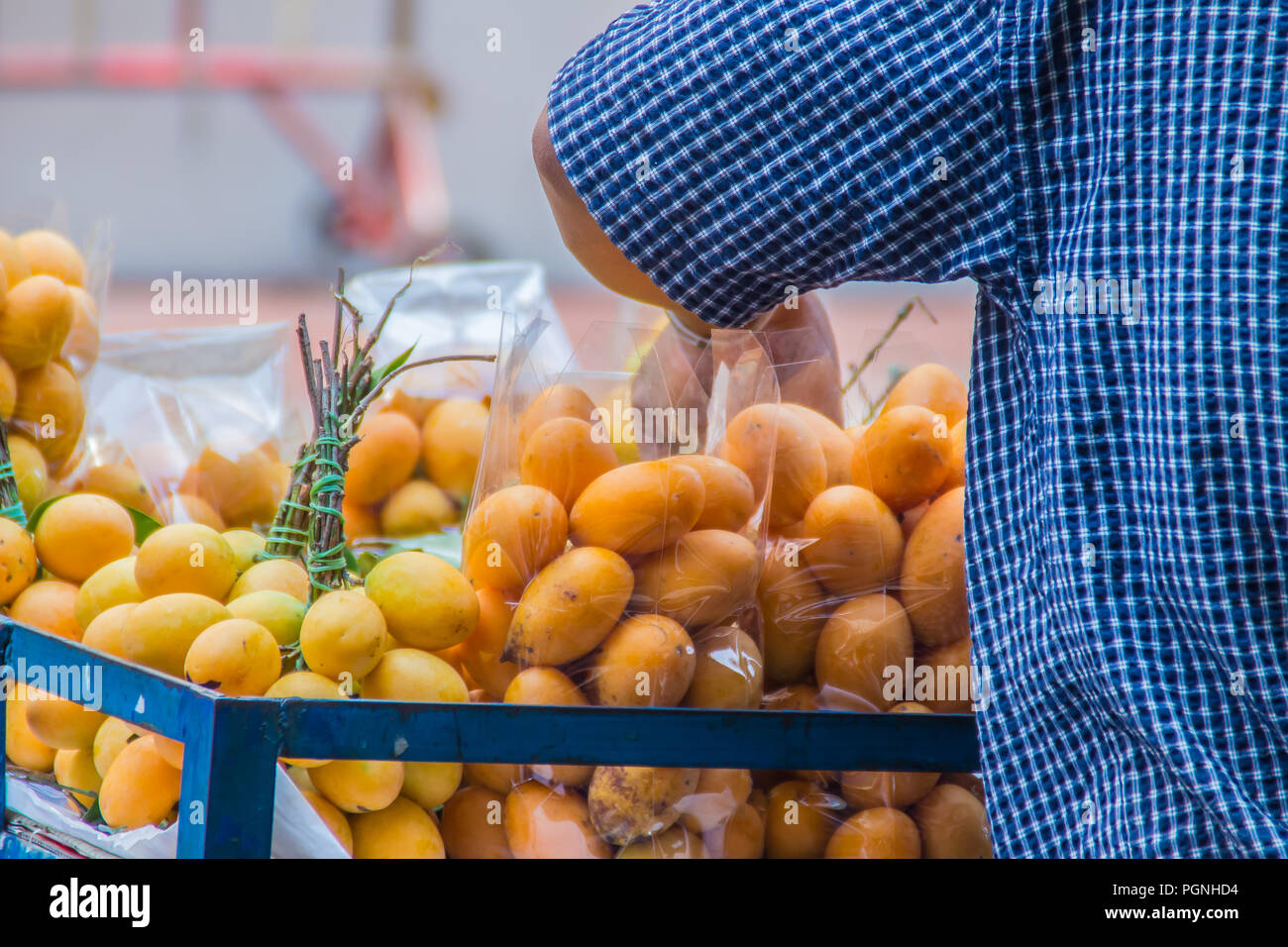 Plango fruit or Marian Plum, famous tropical fruit in Thailand for sale ...