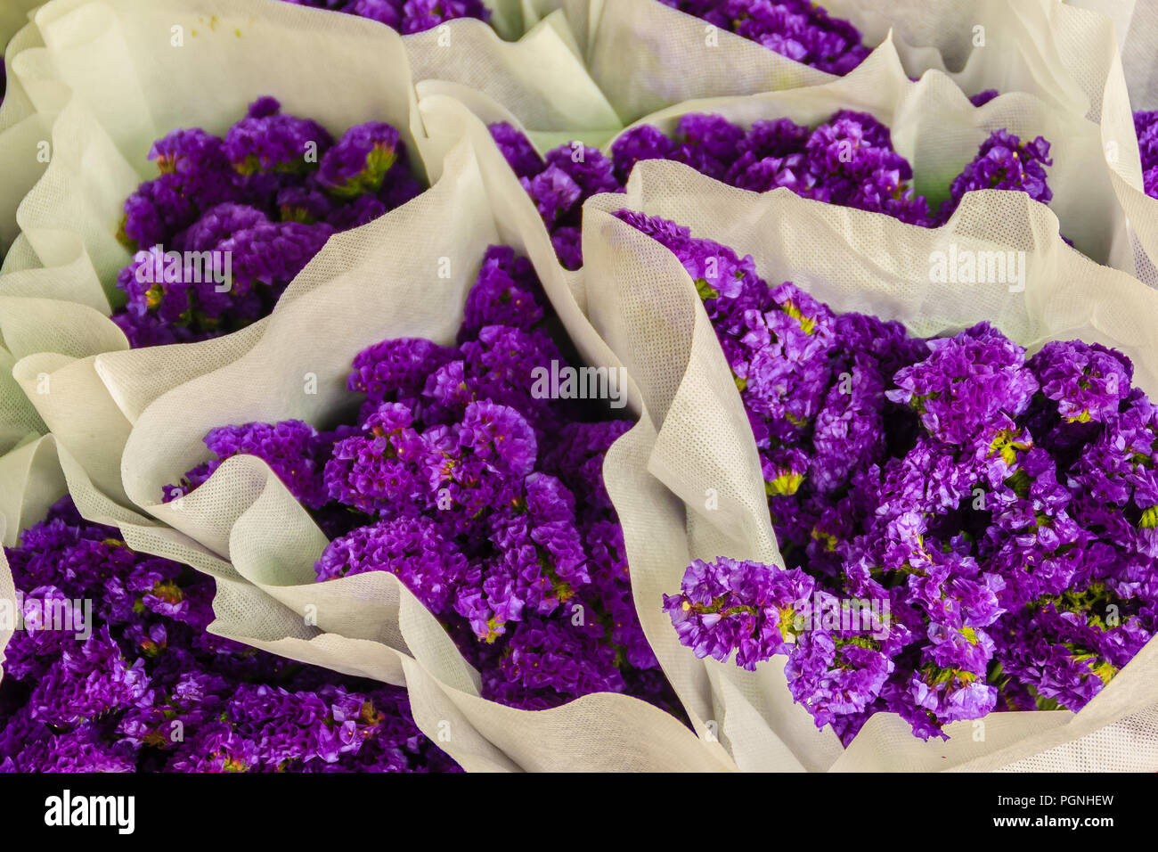 Purple statice flowers for sale in the flower market, Bangkok, Thailand ...