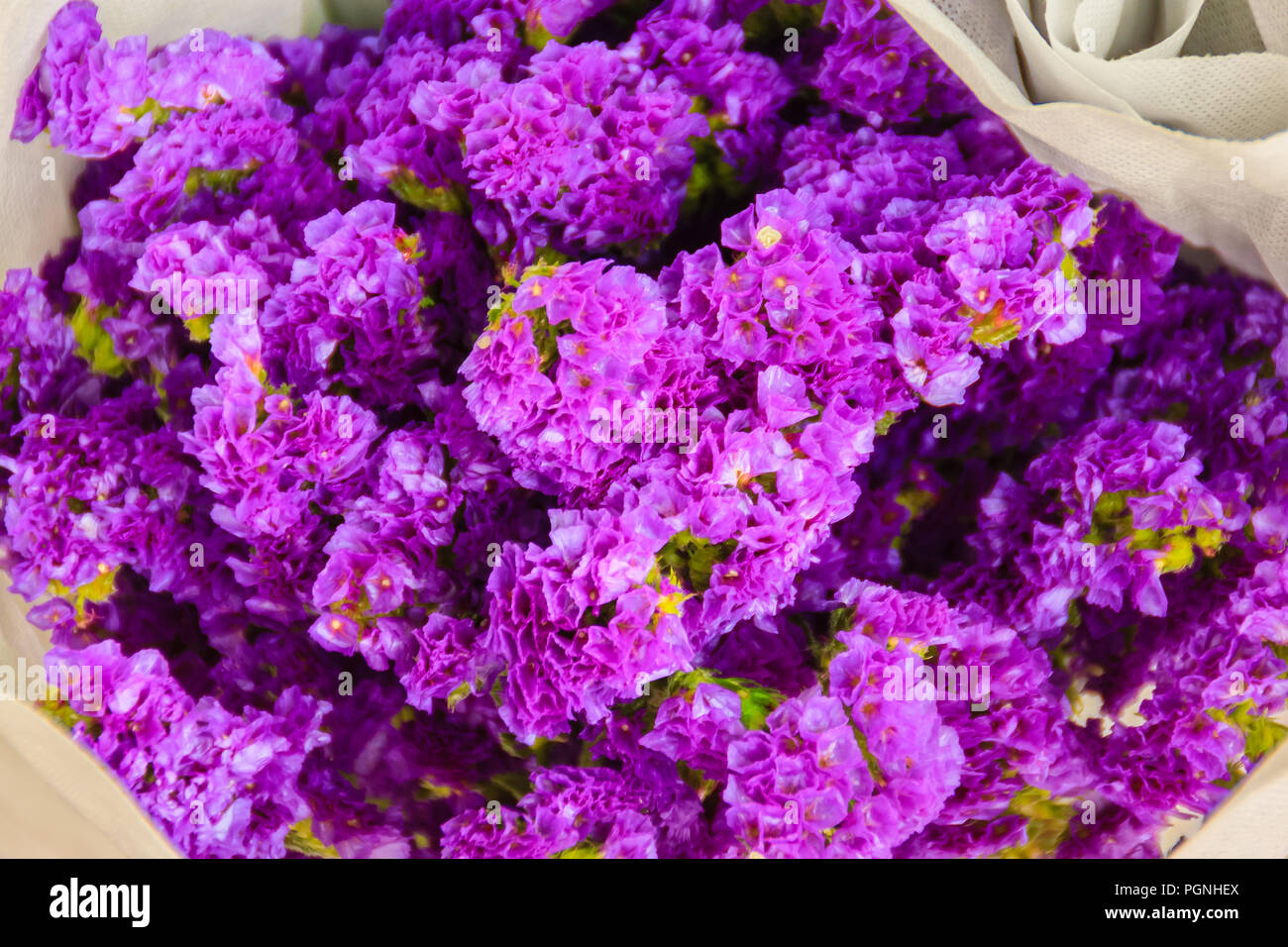 Purple statice flowers for sale in the flower market, Bangkok, Thailand ...