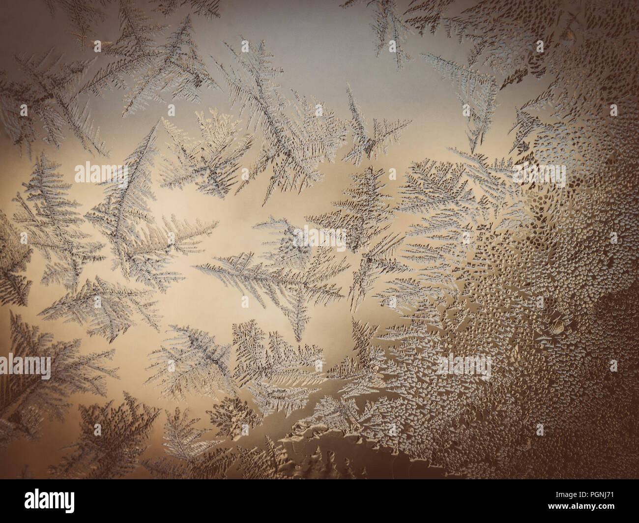Winter Season Fantasy World Theme Concept: Vintage Faded Macro Image Of ...