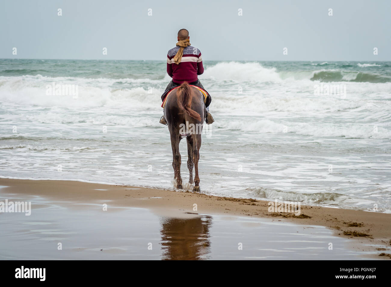 Horse in Saaidia beach Stock Photo - Alamy