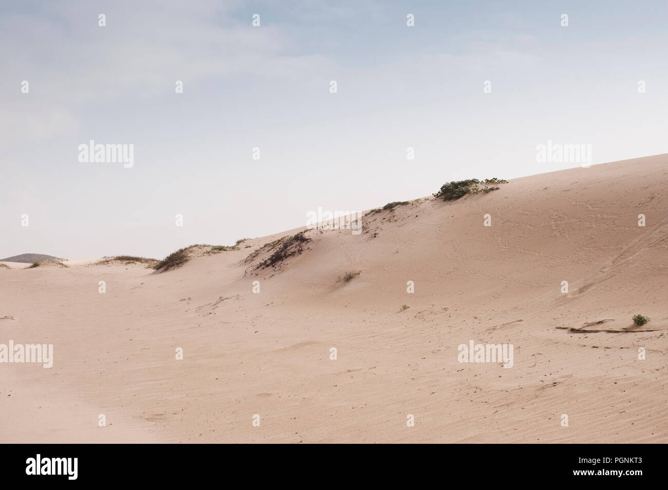 Sand dune hump with blue skies Stock Photo - Alamy