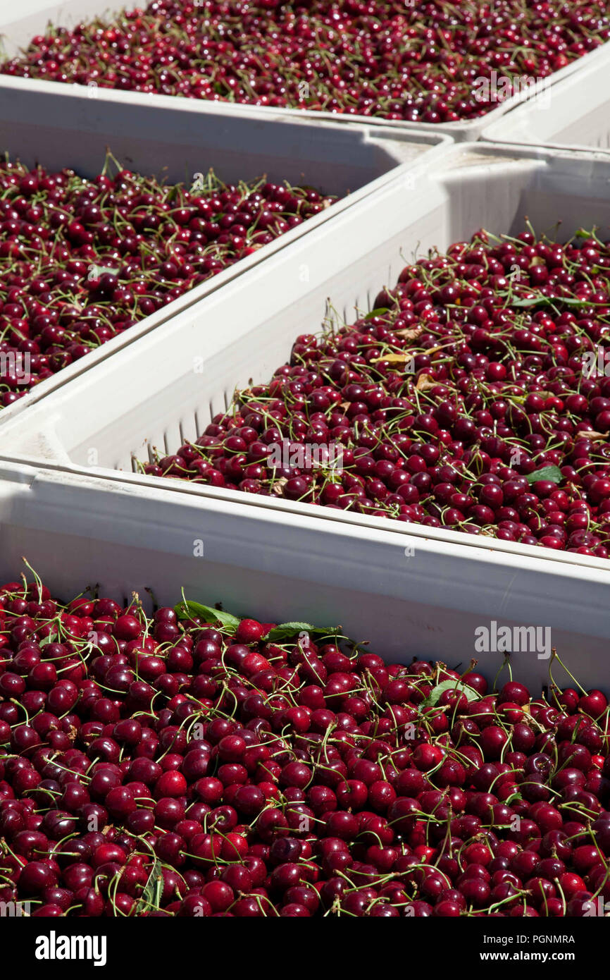Lots of bins hi-res stock photography and images - Alamy