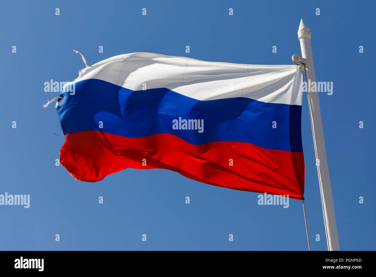 Russian federation flag waving hi-res stock photography and images - Alamy