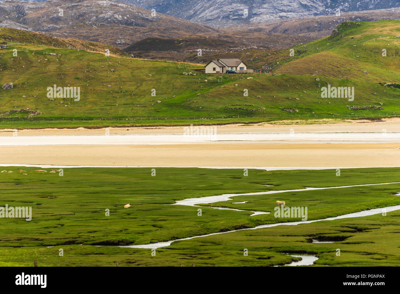 moorland spring views in the Isle of Lewis, Scotland Stock Photo - Alamy