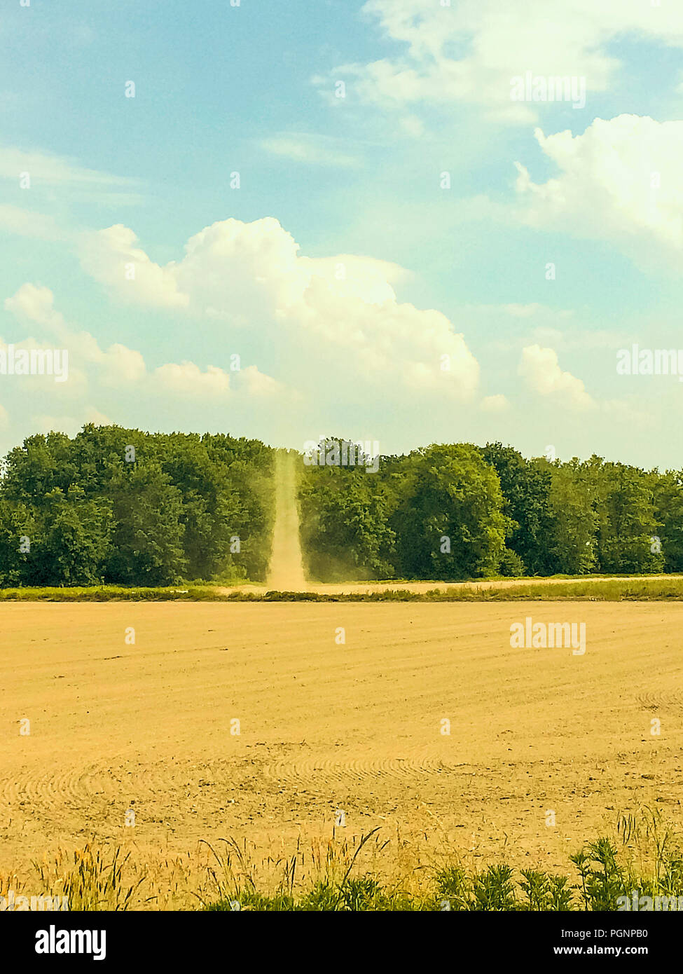 Whirlwind formed on a wheat field in the nature park during the spring ...