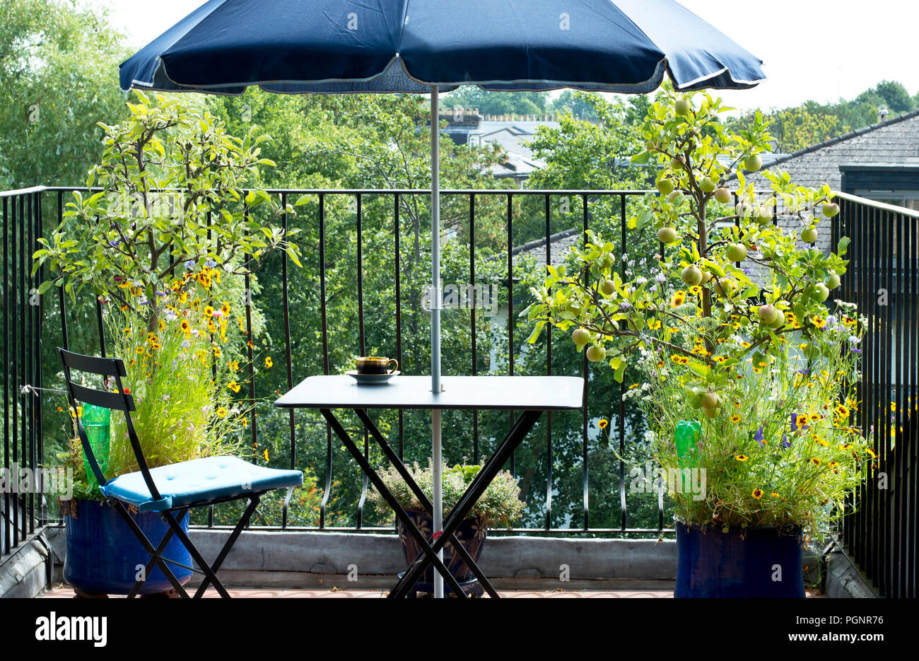 Tree grown chair hi-res stock photography and images - Alamy