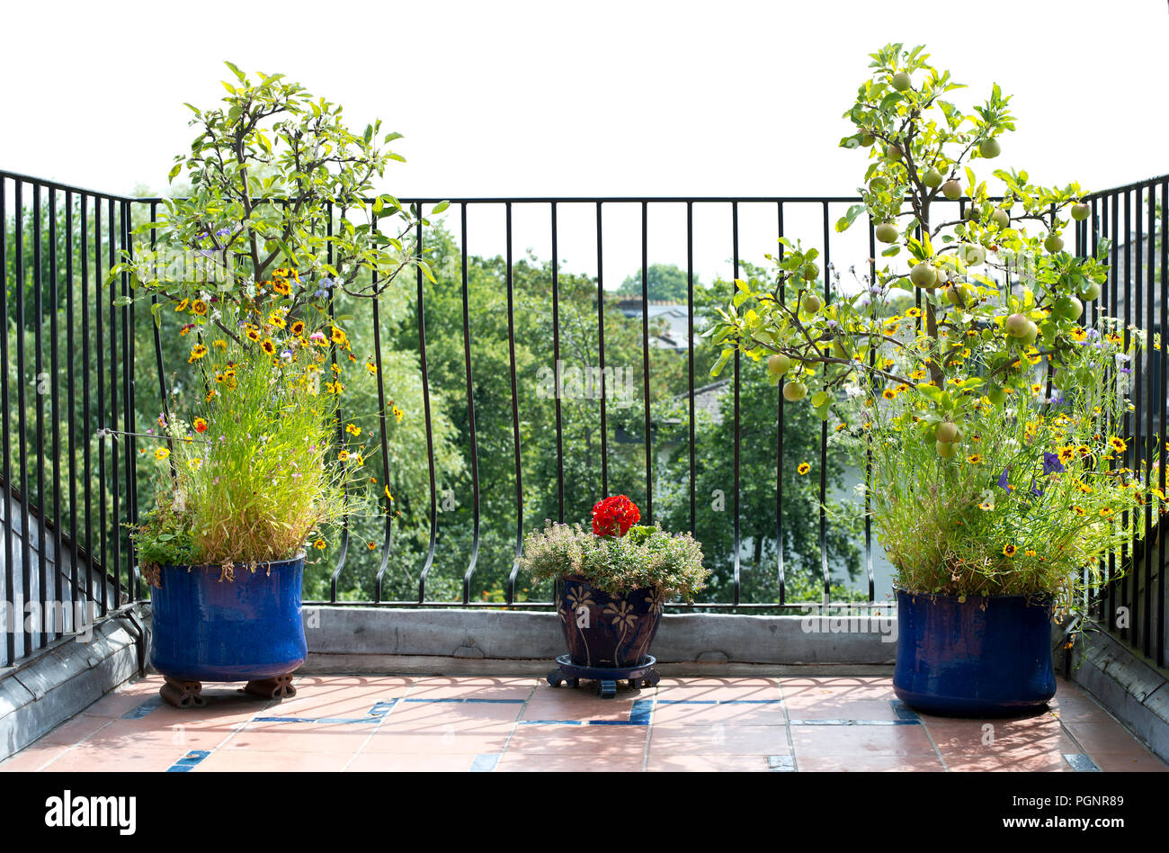 Urban balcony uk hi-res stock photography and images - Alamy