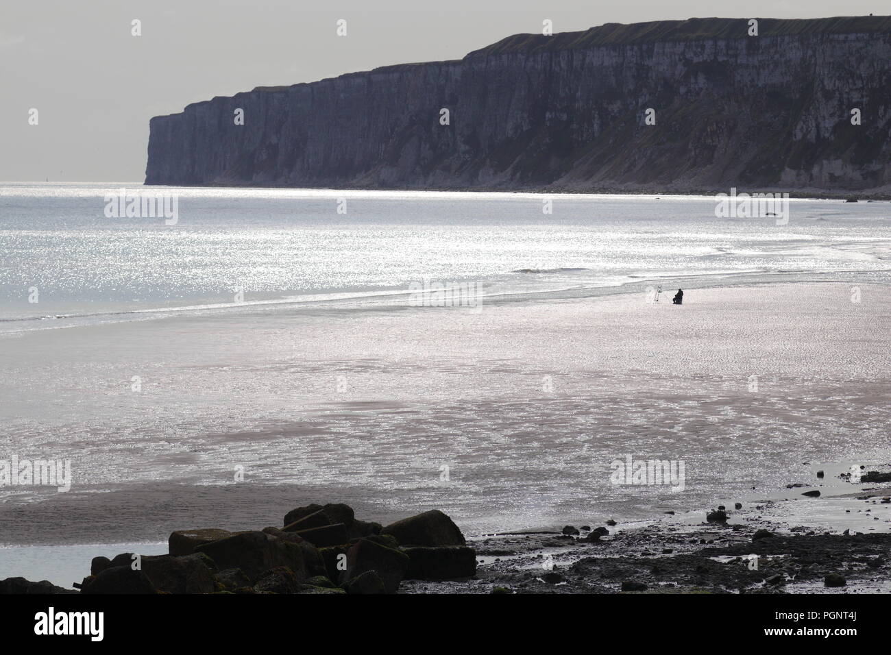 The view towards Bempton Cliffs & Flamborough from Reighton Gap on the ...