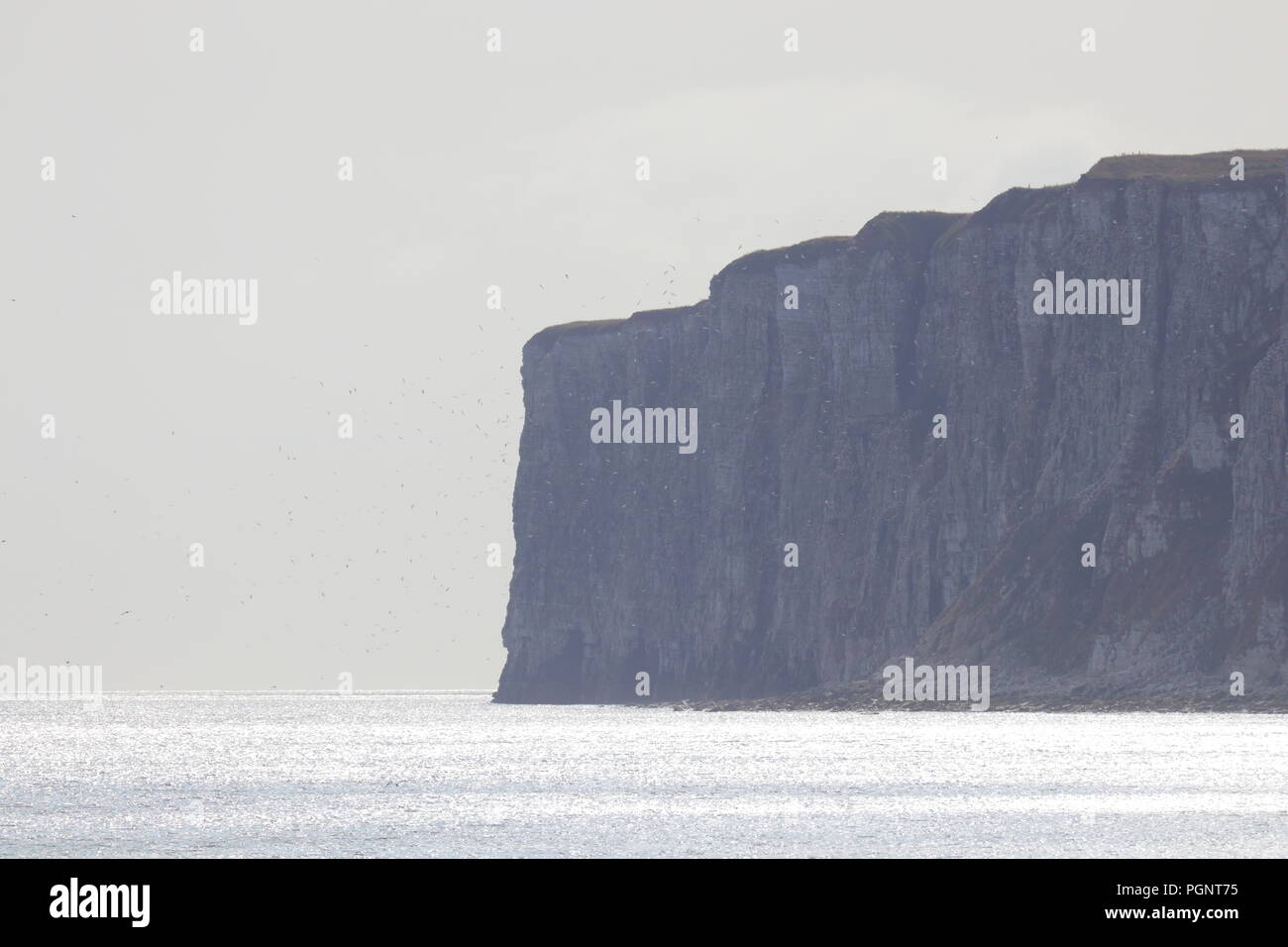 The view towards Bempton Cliffs & Flamborough from Reighton Gap on the ...