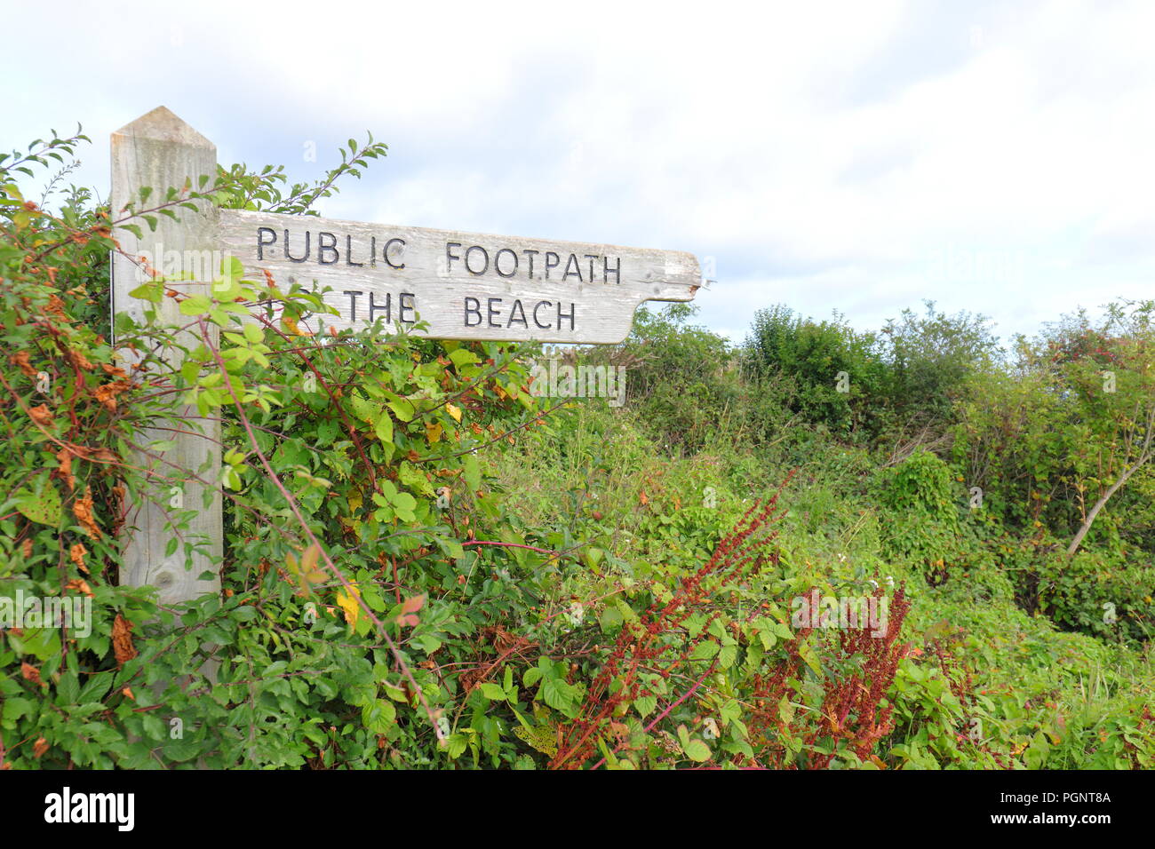 A sign directing tourists and visitors to Reighton Gap beach Stock ...