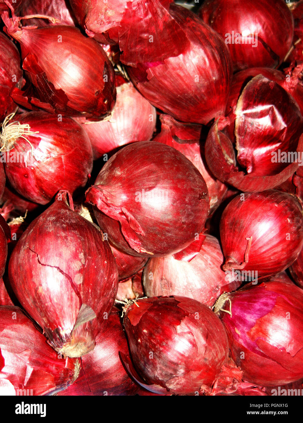 Cepa group hi-res stock photography and images - Alamy