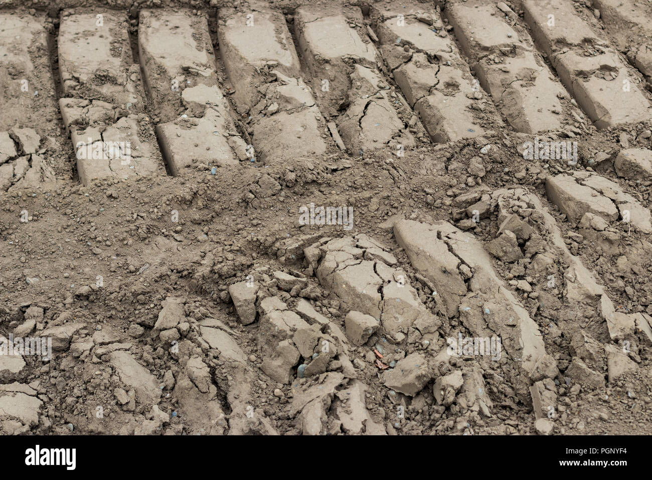 ATV tire tracks side by side in the dirt deeply textured Stock Photo ...