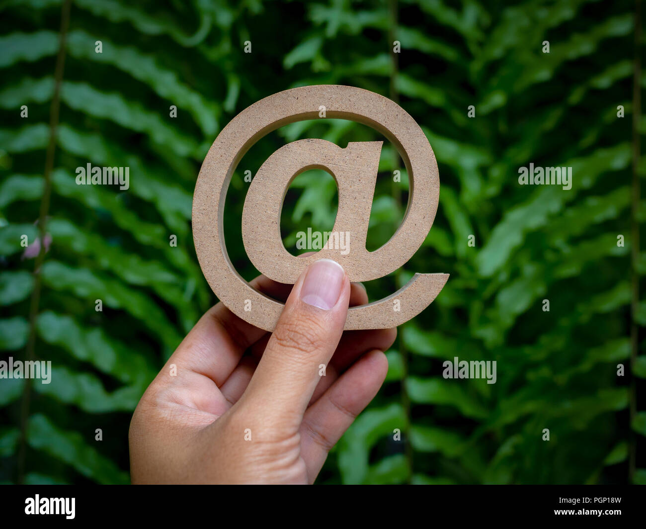 Hand holding wooden E-mail address symbol, arroba icon on green leaves ...