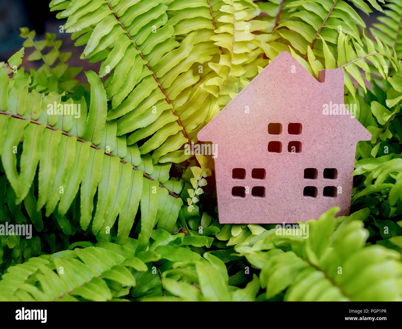Wooden house on green fern plant background with copy space. Home ...