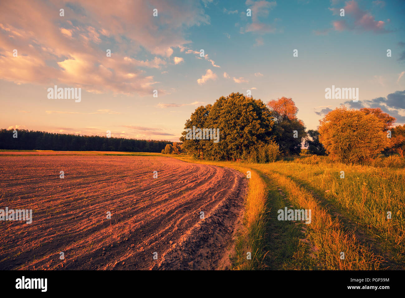 Dirt road along farmland field hi-res stock photography and images - Alamy