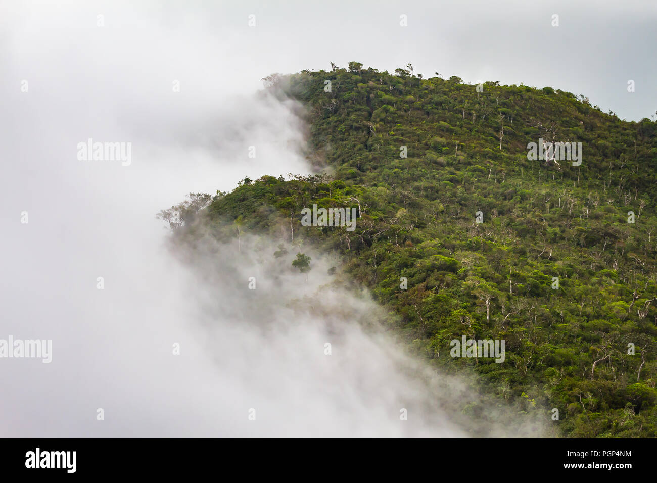 Tropical mountain slope hi-res stock photography and images - Alamy