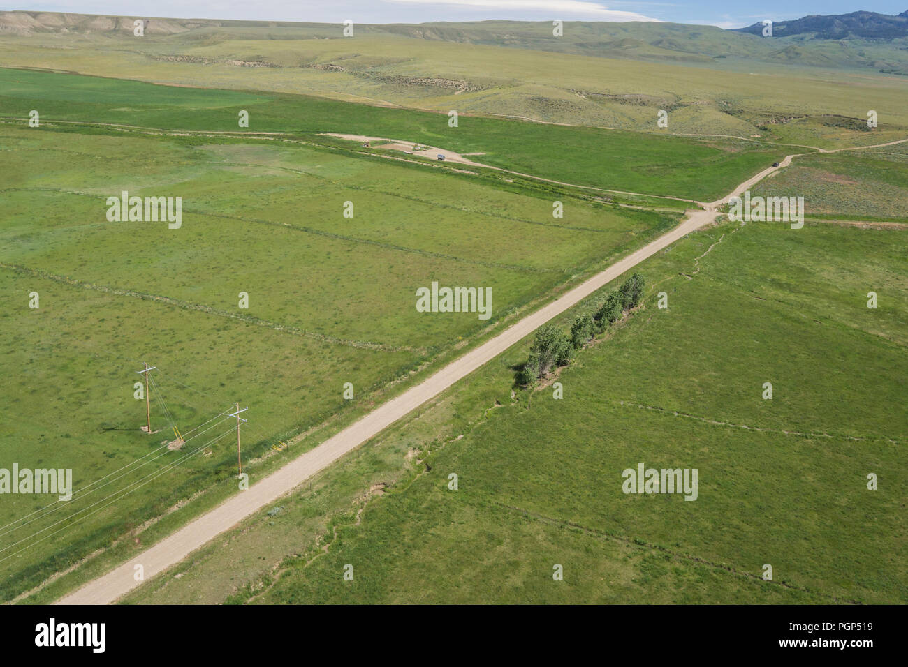 Dirt farming road leads between several green fields in the midwest ...