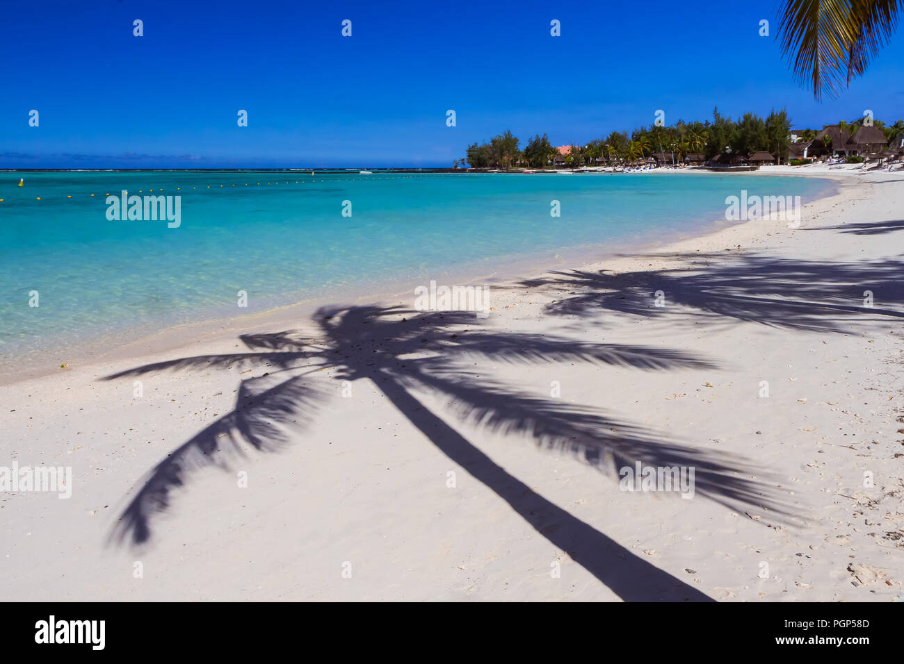 Tropical beach. Shade of palm trees, blue ocean, white sand Stock Photo ...
