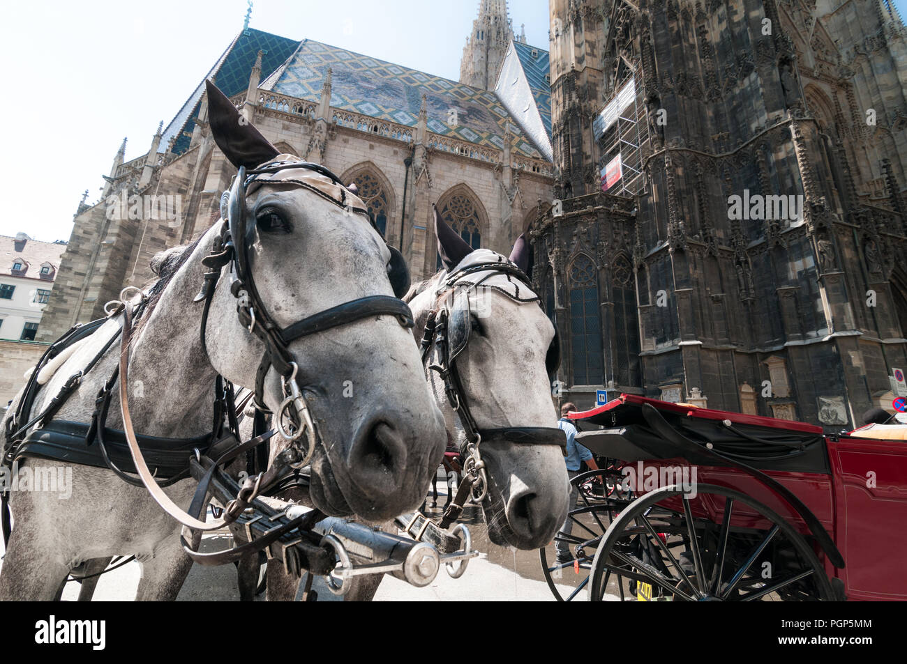 Vienna horse carriage, Vienna, Austria Stock Photo - Alamy