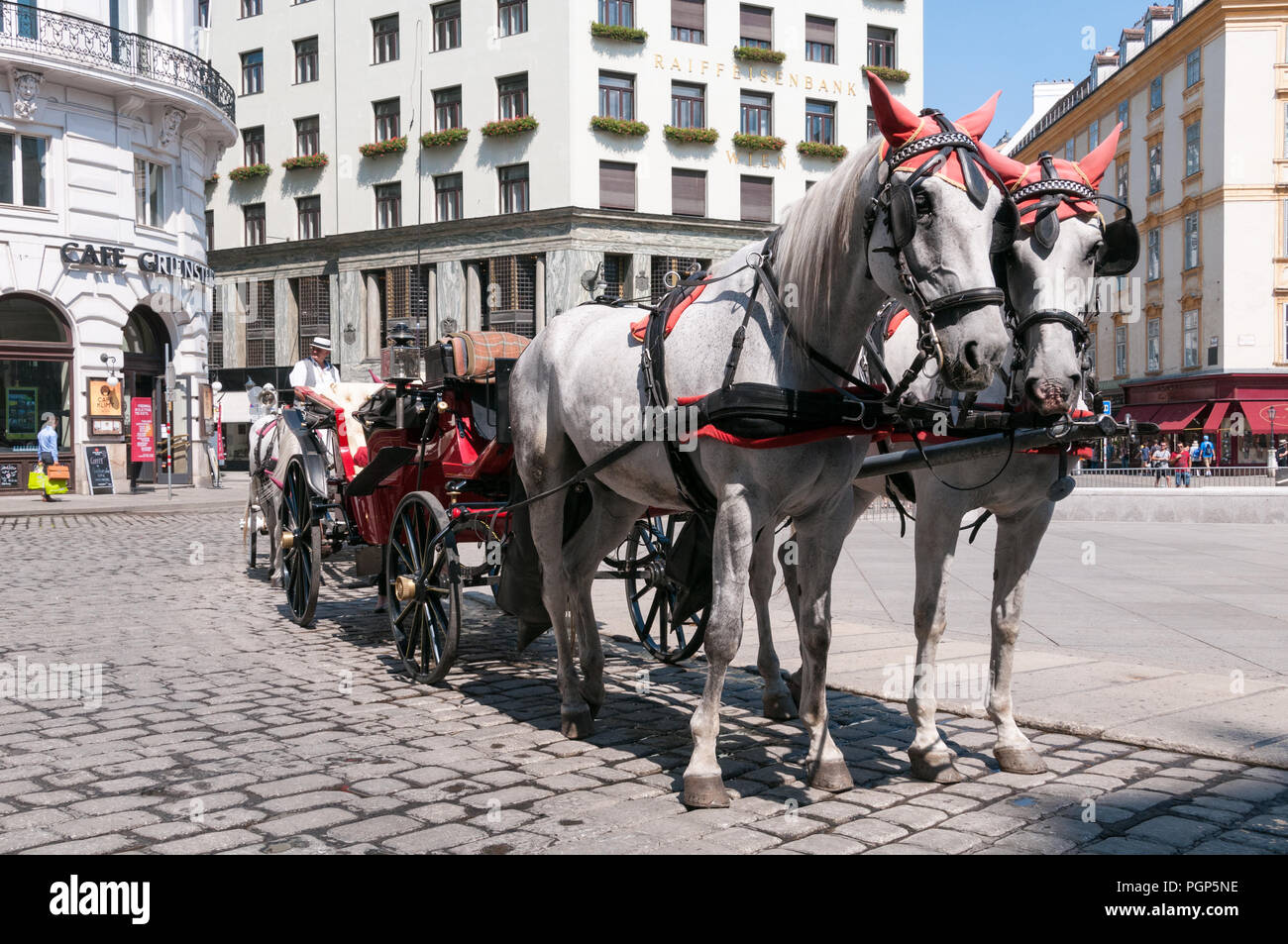 Vienna horse carriage, Vienna, Austria Stock Photo - Alamy