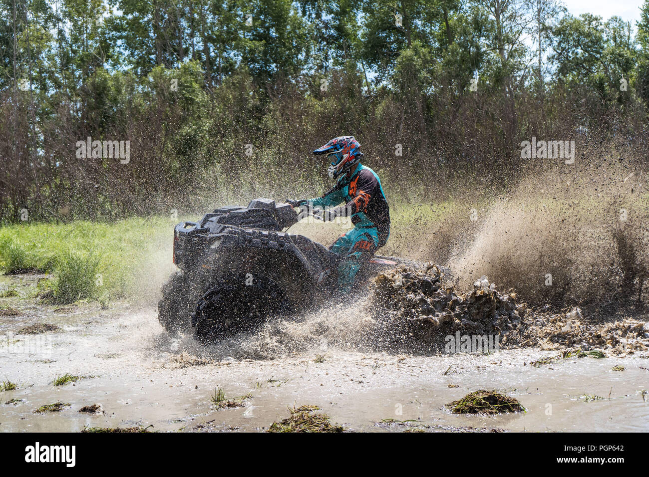 Fastest Stock Four Wheeler