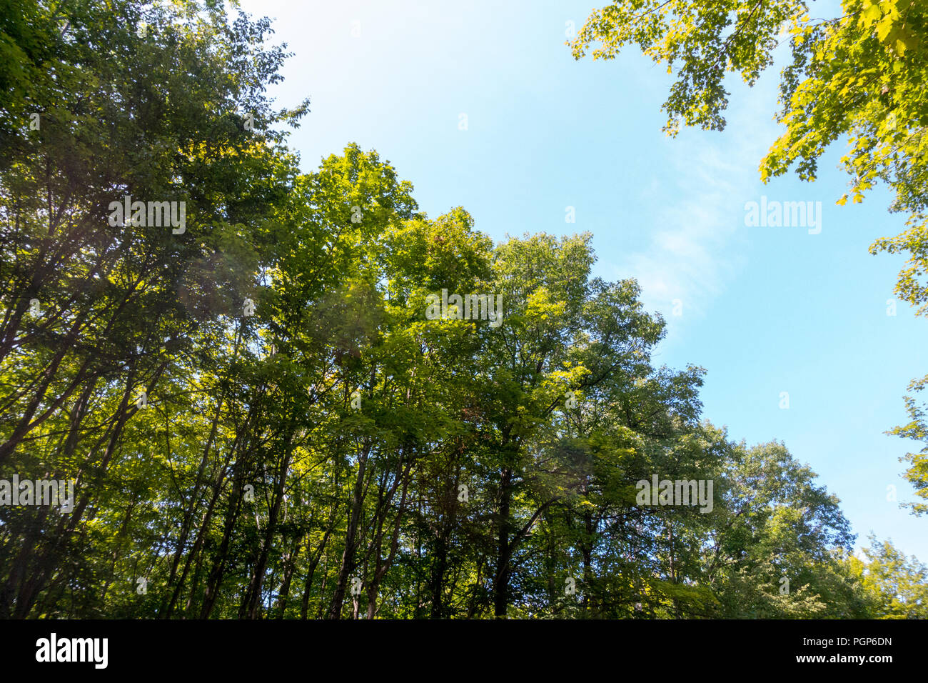 Awenda Provincial Park High Resolution Stock Photography and Images - Alamy