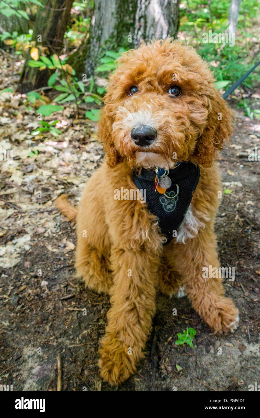 AWENDA PROVINCIAL PARK, ONTARIO, CANADA - AUGUST 20, 2018 Stock Photo ...
