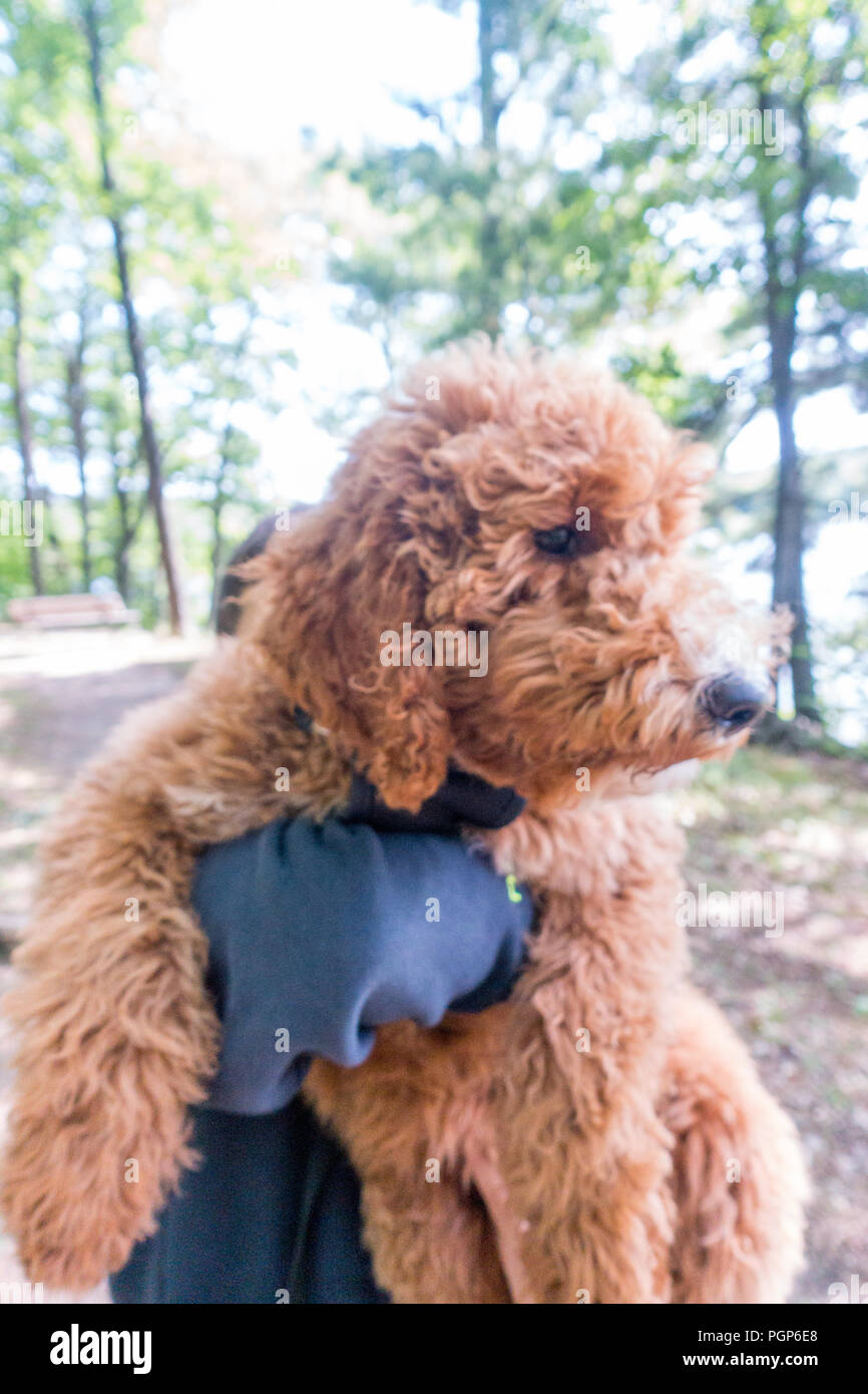 Awenda provincial park hi-res stock photography and images - Alamy