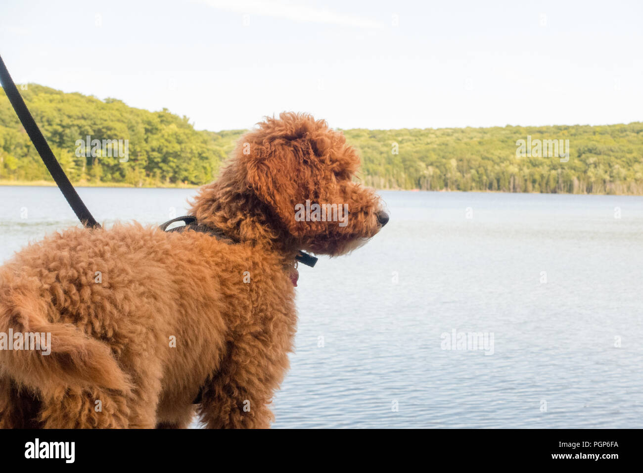 AWENDA PROVINCIAL PARK, ONTARIO, CANADA - AUGUST 20, 2018 Stock Photo ...
