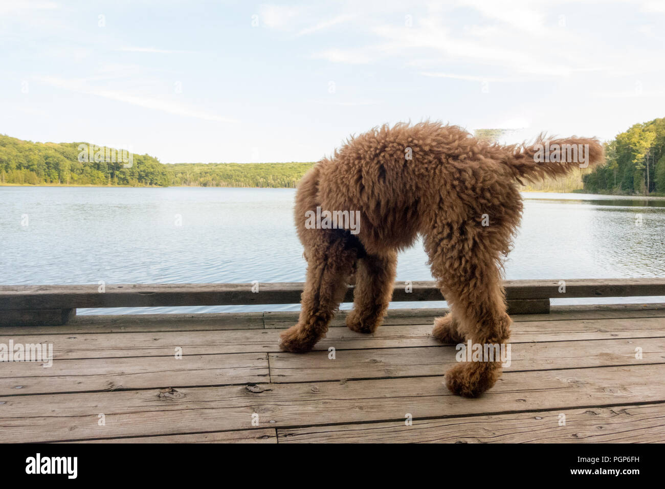 AWENDA PROVINCIAL PARK, ONTARIO, CANADA - AUGUST 20, 2018 Stock Photo ...