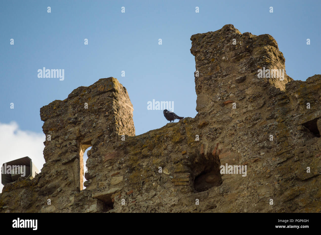 Crow on castle wall hi-res stock photography and images - Alamy