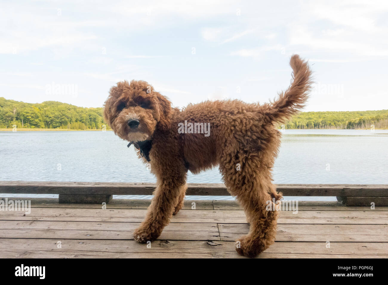 Awenda Provincial Park High Resolution Stock Photography and Images - Alamy