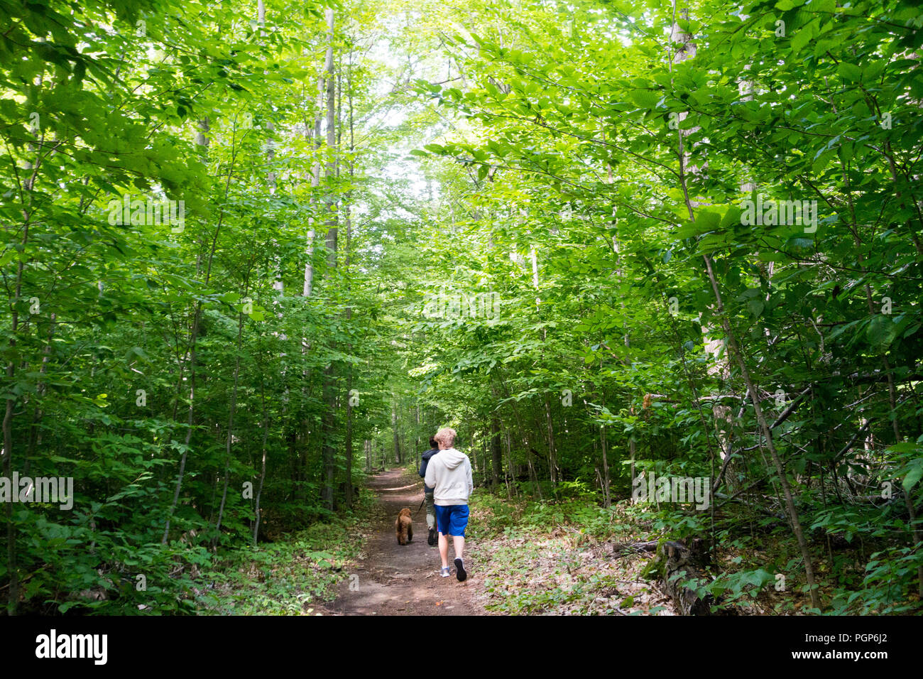Awenda provincial park hi-res stock photography and images - Alamy