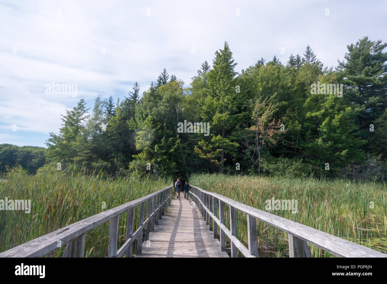 Awenda Provincial Park High Resolution Stock Photography and Images - Alamy
