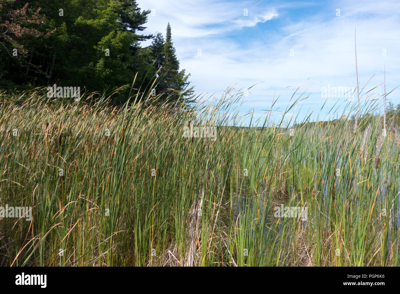 Awenda provincial park hi-res stock photography and images - Alamy