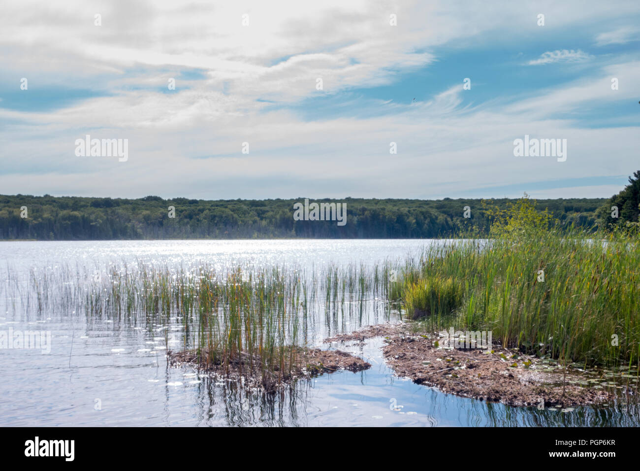 Awenda provincial park hi-res stock photography and images - Alamy