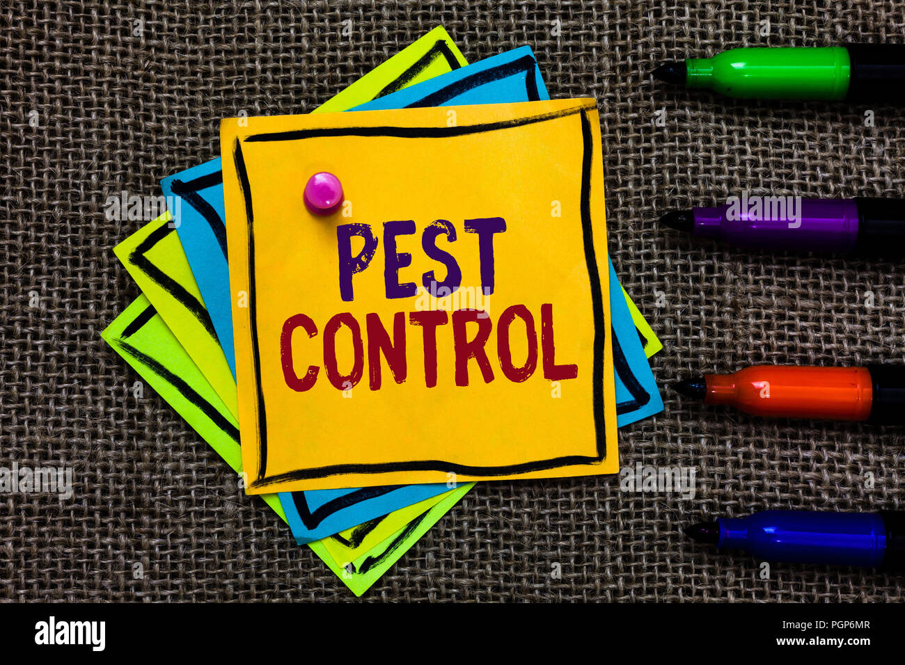 Word writing text Pest Control. Business concept for Killing ...