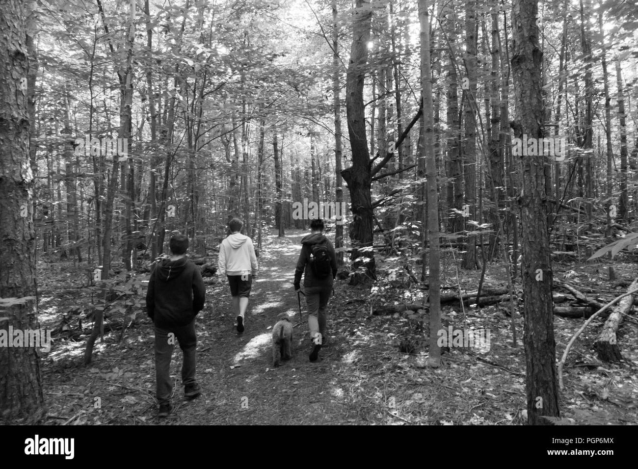 Awenda Provincial Park High Resolution Stock Photography and Images - Alamy