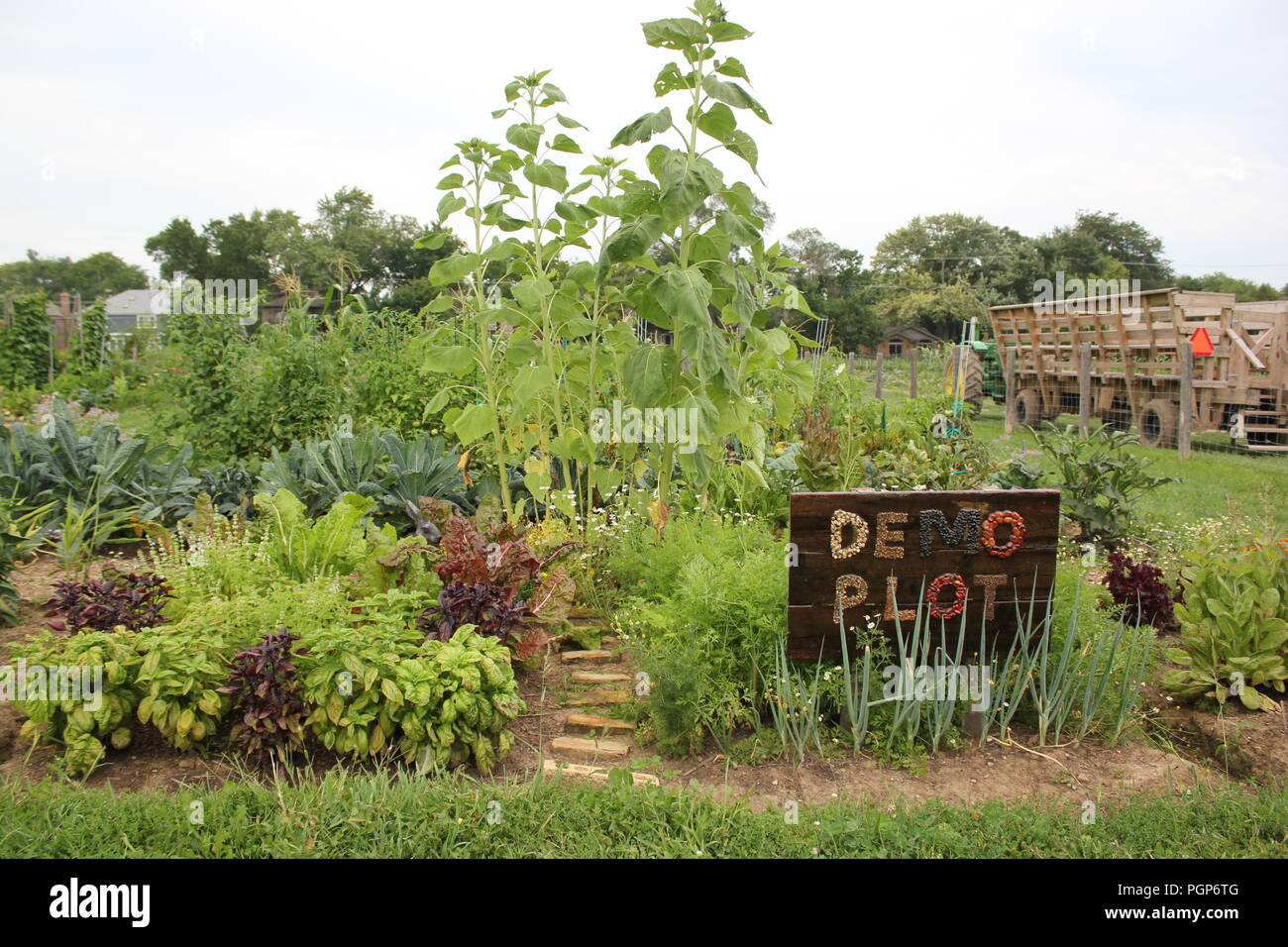 Recreational plot hi-res stock photography and images - Alamy