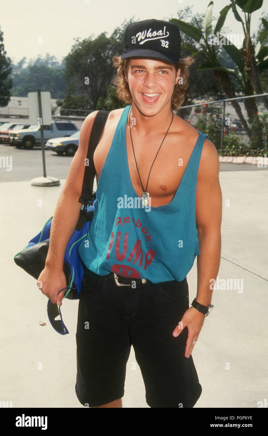 LOS ANGELES, CA - AUGUST 22: Actor Joey Lawrence attends the 35th ...