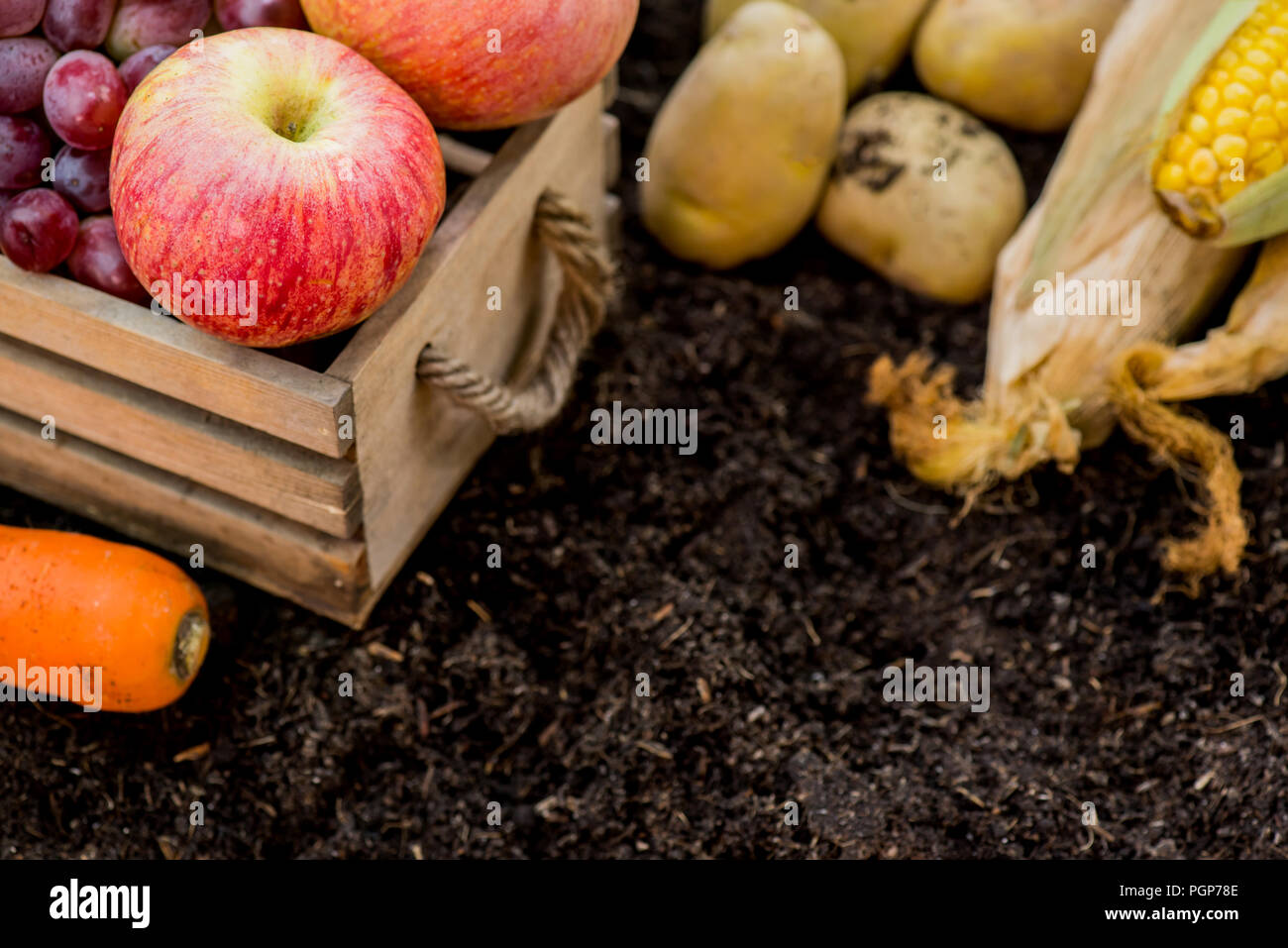 Fall harvest cornucopia. Autumn season with fruit and vegetable Stock ...