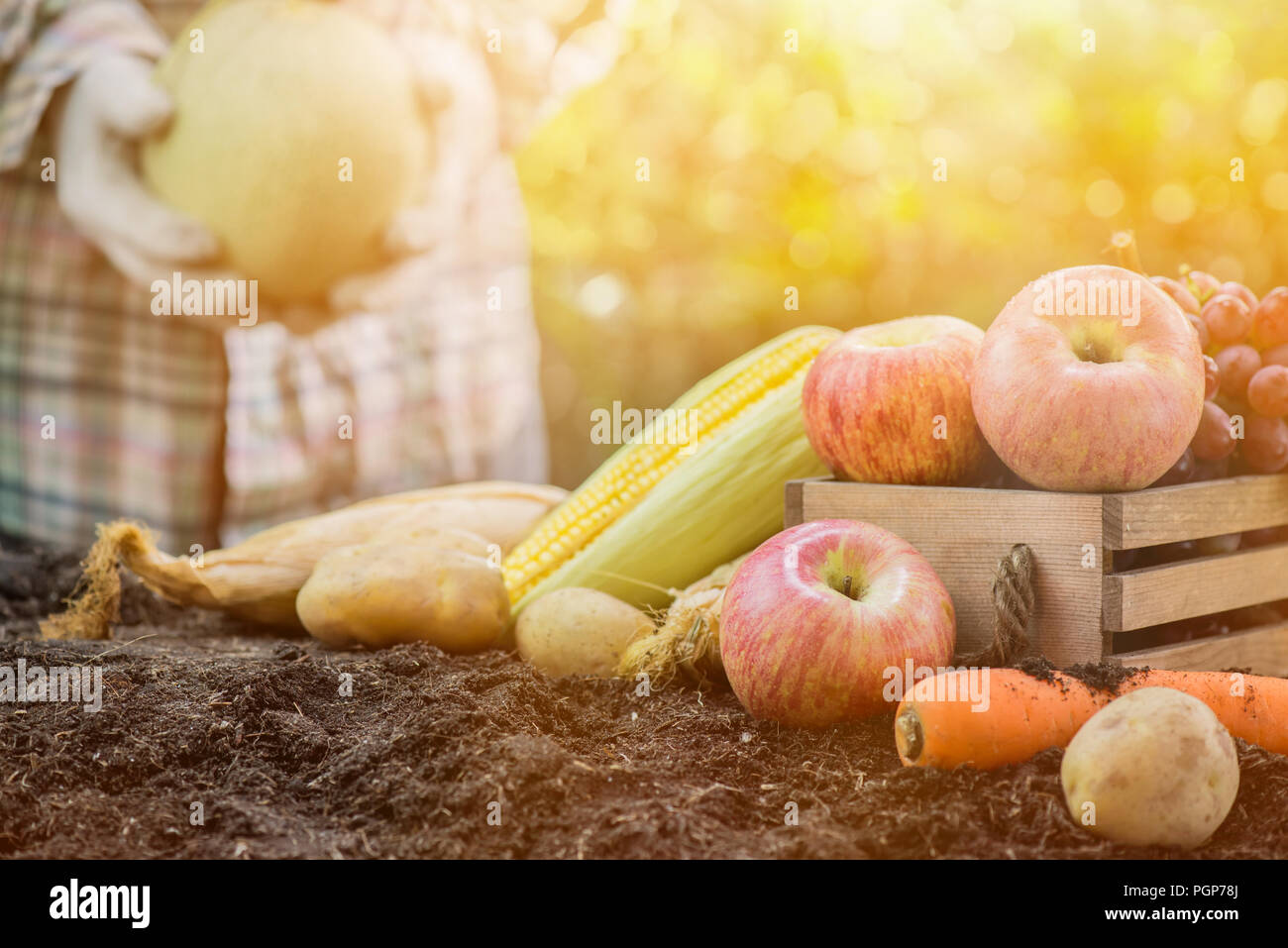 Fall harvest cornucopia. Autumn season with fruit and vegetable Stock ...
