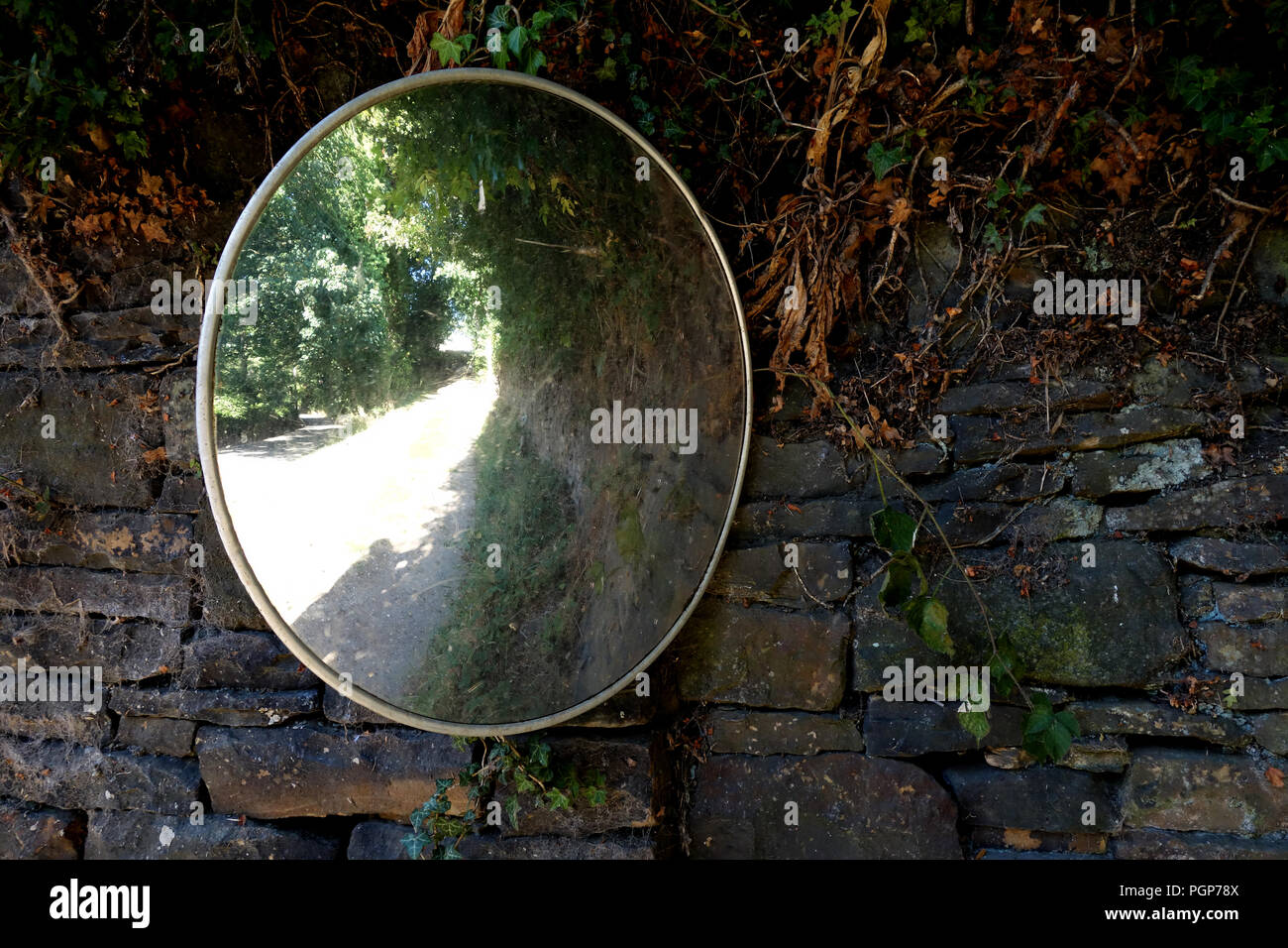 Circular convexed Blind Spot Mirror Provide maximum visibility at ...