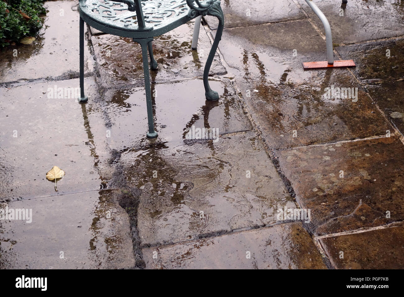 Puddle On Patio