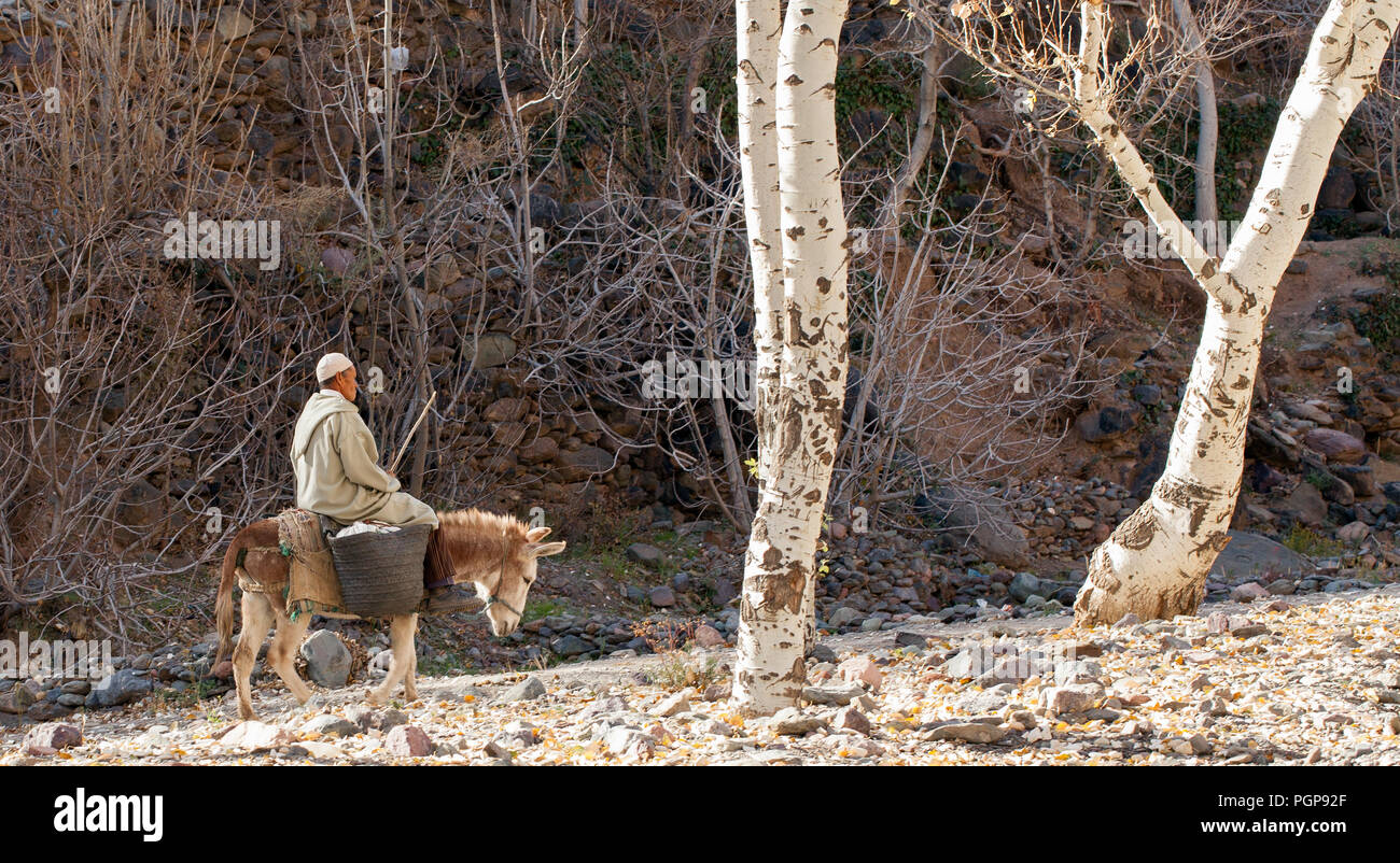 Muslim Man Riding Donkey In Stock Photos & Muslim Man Riding Donkey In ...