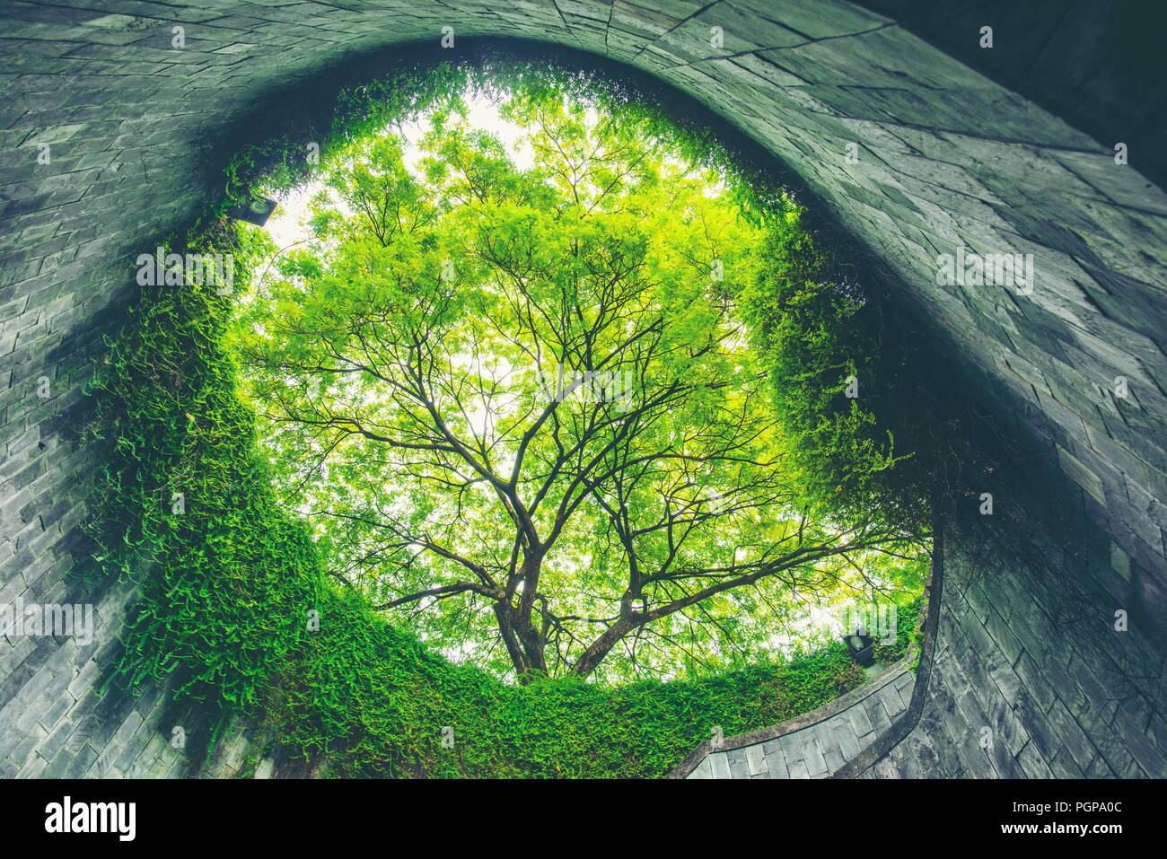 Spiral staircase at Fort Canning Park, Singapore Stock Photo - Alamy