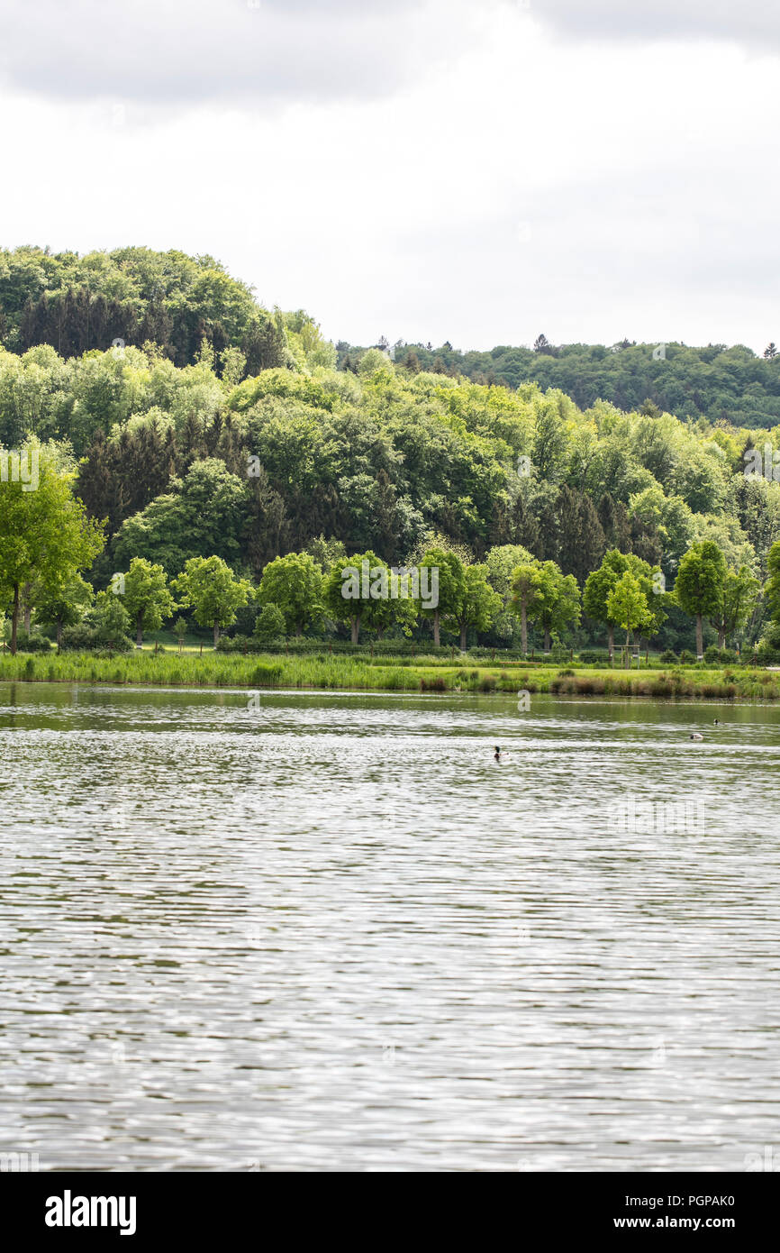 lake and trees in the background Stock Photo - Alamy