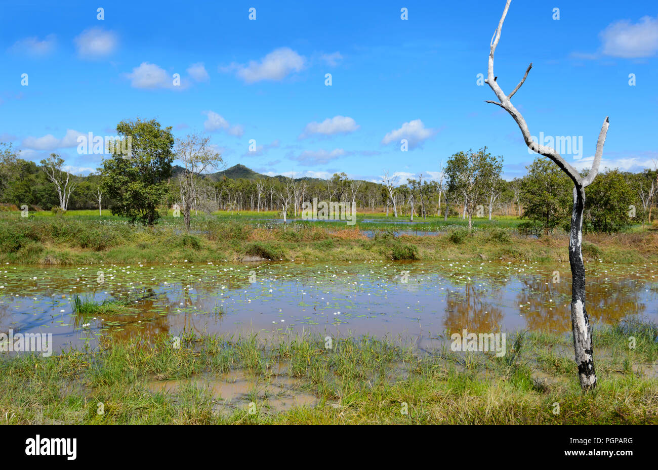 Billabongs hi-res stock photography and images - Alamy