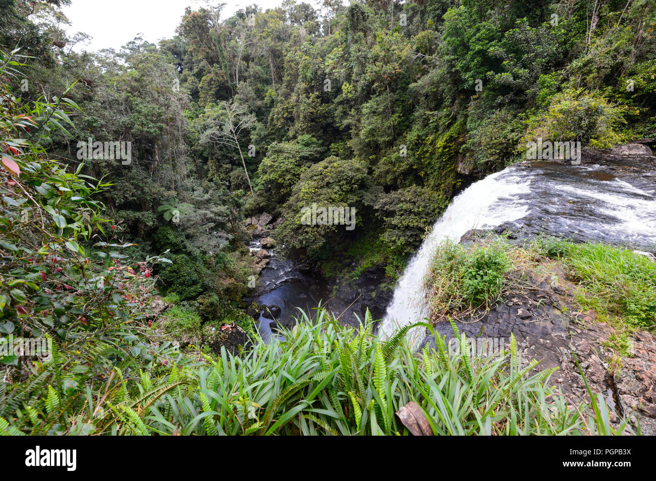 View of Zillie Falls, Atherton Tablelands, Far North Queensland, FNQ ...